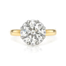 JOLENE | SINGLE STONE